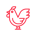 Fun Farmyard - Springridge Farm