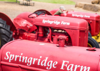 Contact Us | Springridge Farm