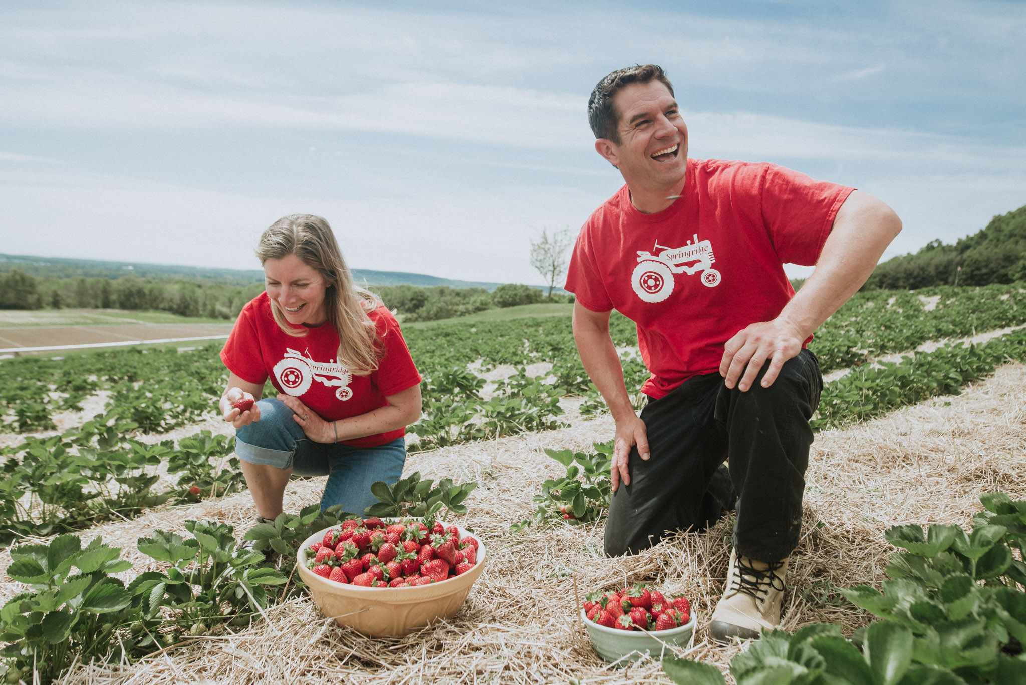 Contact Us | Springridge Farm