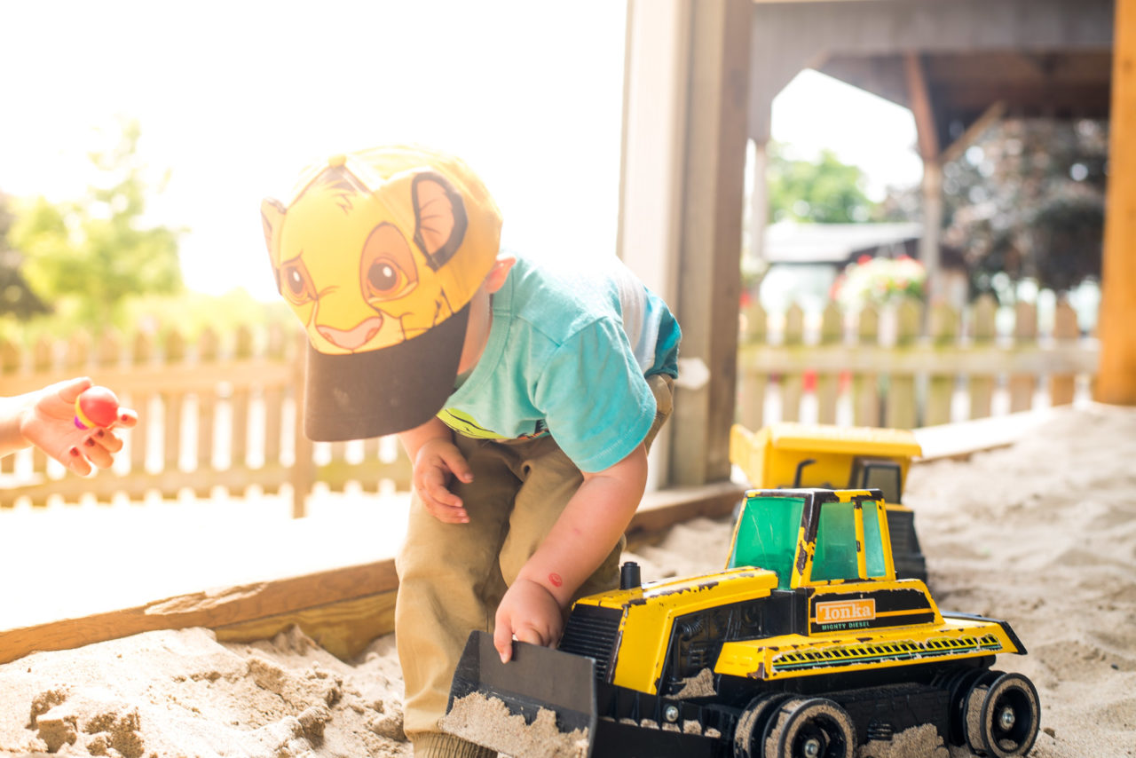 Fun Farmyard - Springridge Farm