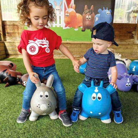 Fun Farm Yard | Springridge Farm