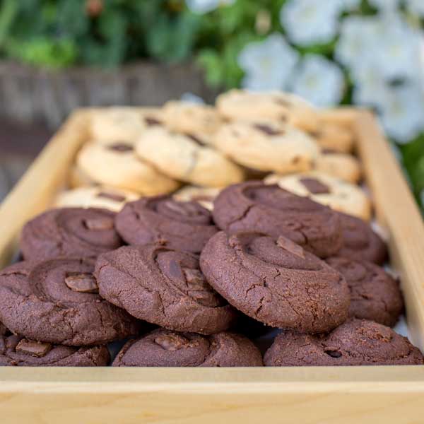 Fun Farm Yard | Springridge Farm