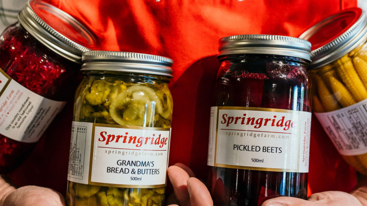 Fun Farm Yard | Springridge Farm