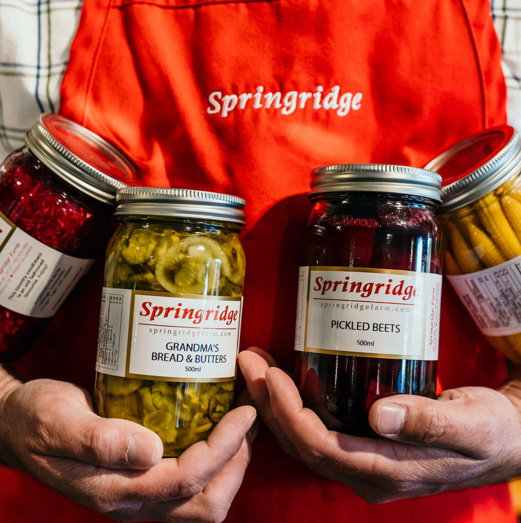 Fun Farm Yard | Springridge Farm