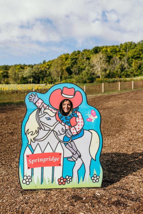 Fun Farmyard - Springridge Farm