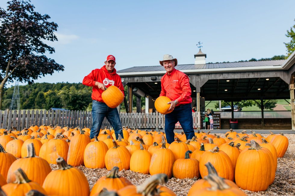 Springridge Farm | Welcome to our family farm