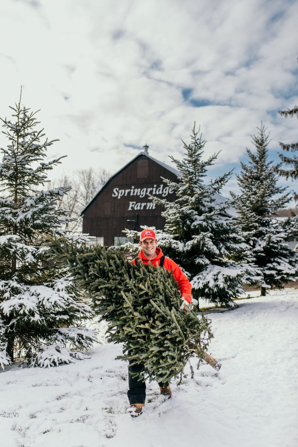 Farm Fresh - Springridge Farm