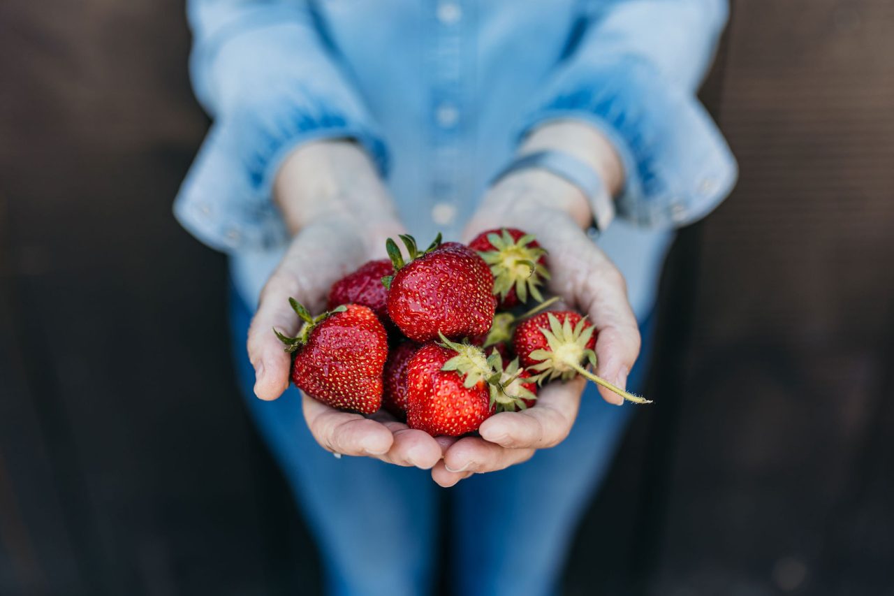 Farm Fresh - Springridge Farm