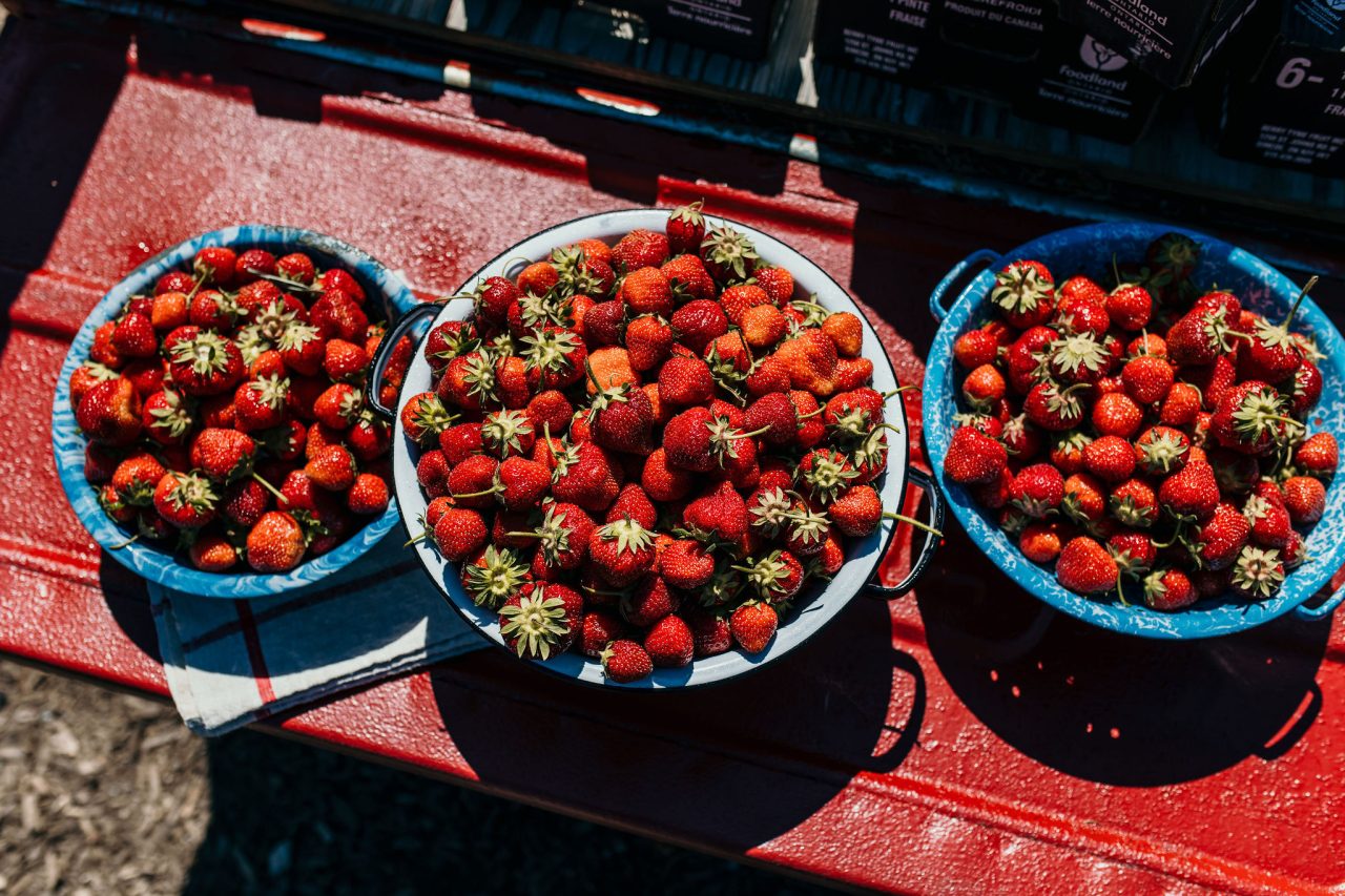 Farm Fresh - Springridge Farm