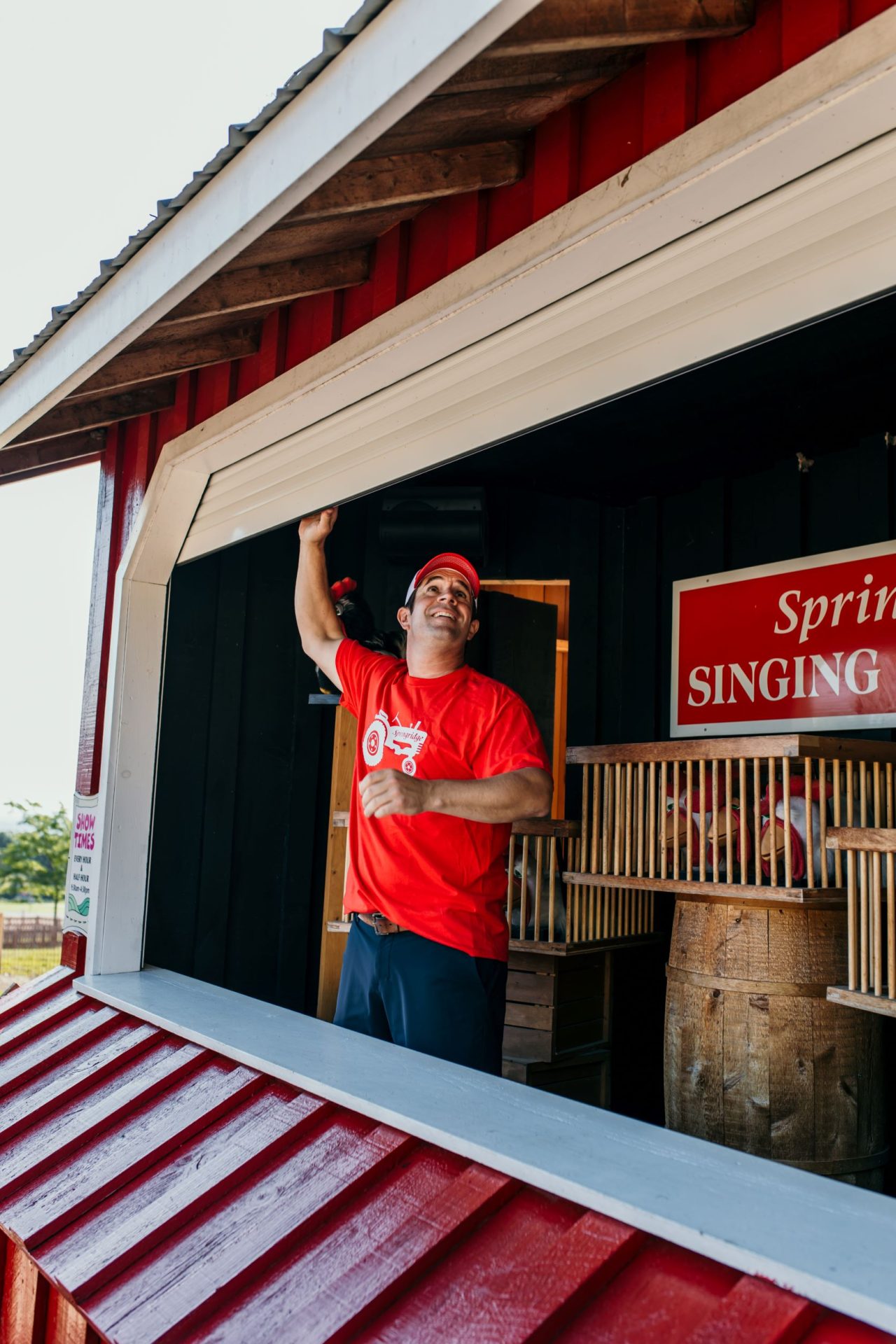 Fun Farmyard - Springridge Farm