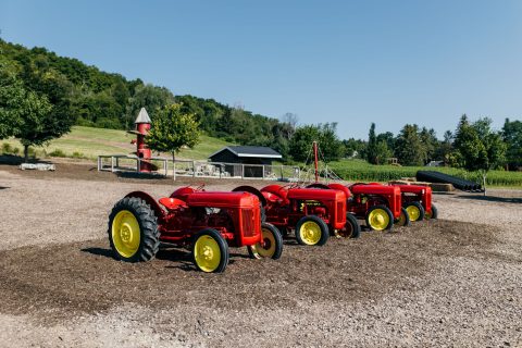 Fun Farmyard - Springridge Farm
