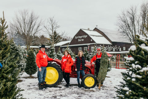 Springridge Farm | Welcome to our family farm