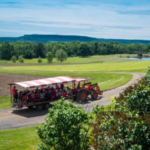 Springridge Farm | Welcome to our family farm