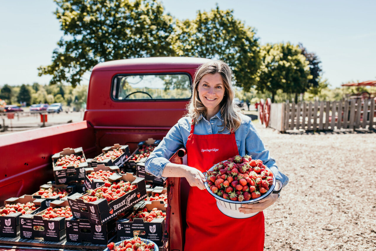 Springridge Farm | Welcome to our family farm