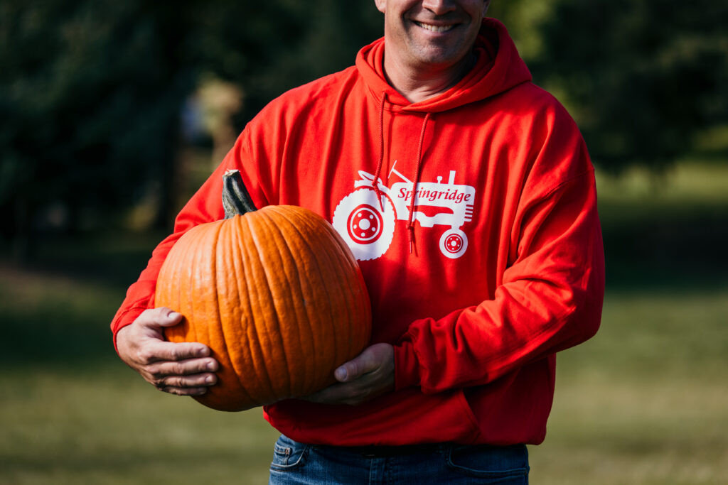 Home - Springridge Farm