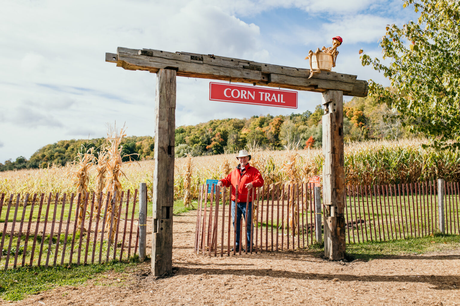 Home - Springridge Farm