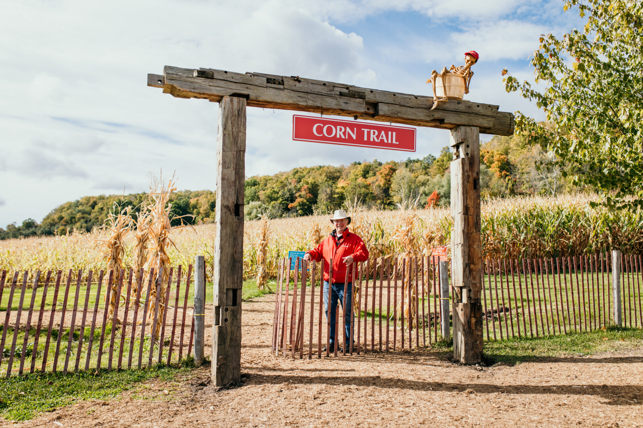 Home - Springridge Farm