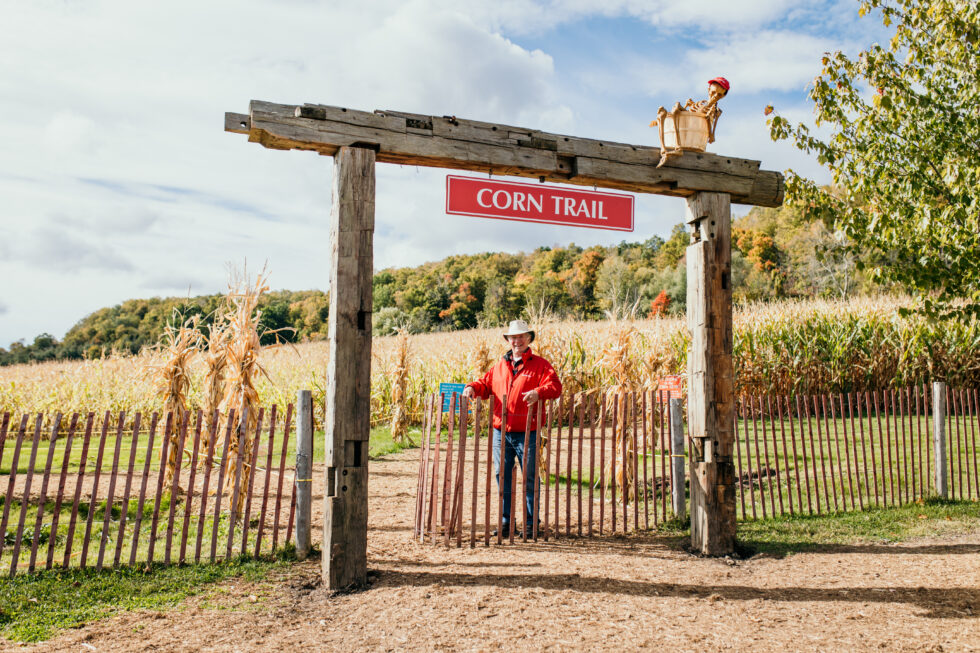 Home - Springridge Farm